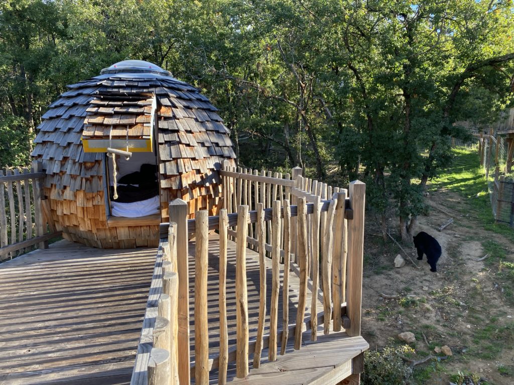 Une nuit dans les Cabanes perchées du Safari de Peaugres – N'oublie Jamais